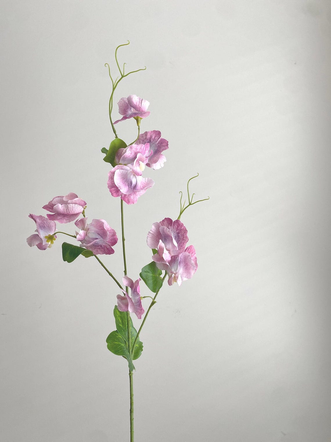 Faux Light Purple Sweet Pea Stem - Artificial Flower Spray / Wedding ...