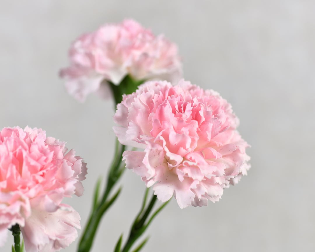 Set of 3 - Real Touch Pink Carnation Stem / Artificial Floral / Wedding ...