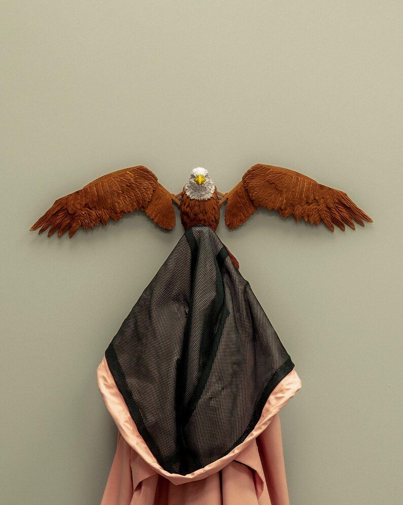Eagle Coat Hanger Holder Stand Mount Eagle Animal Bald Eagle Golden ...