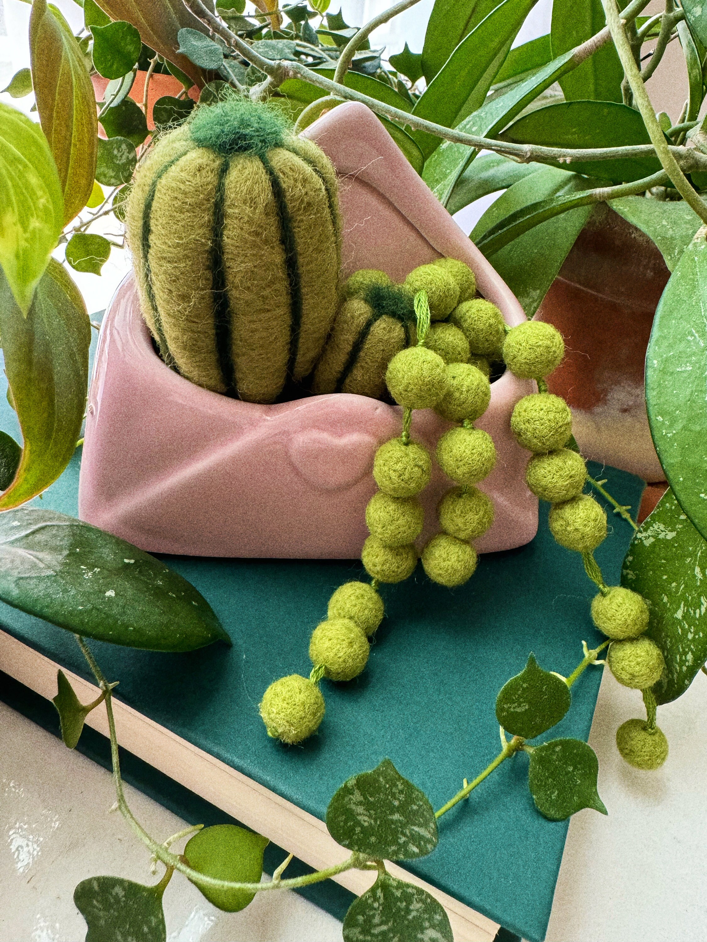 Felted Plant Decor - Etsy