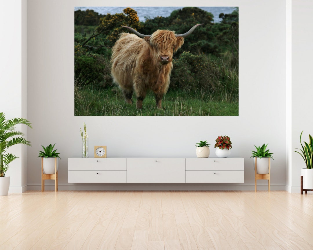 Highland Cow Poster, Highland Cow Canvas Wall Art, Animal Canvas, Cow ...
