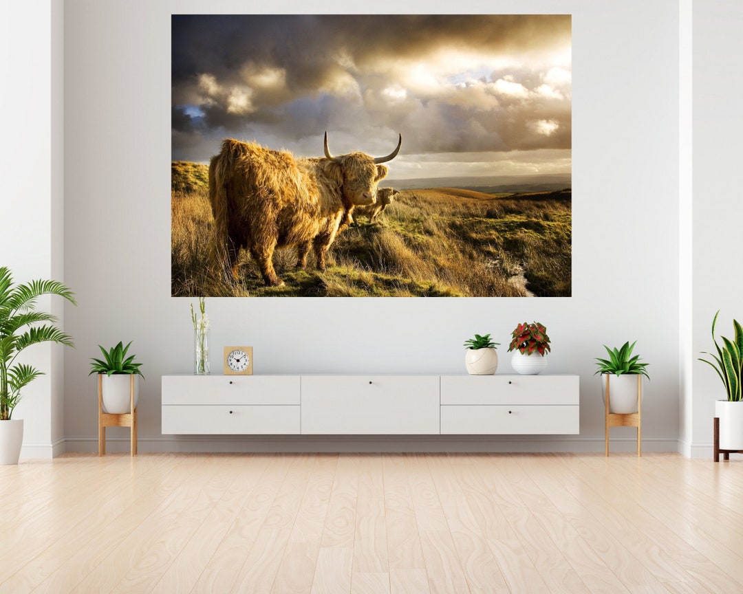 Highland Cow Poster, Highland Cow Canvas Wall Art, Scottish Cow Canvas ...