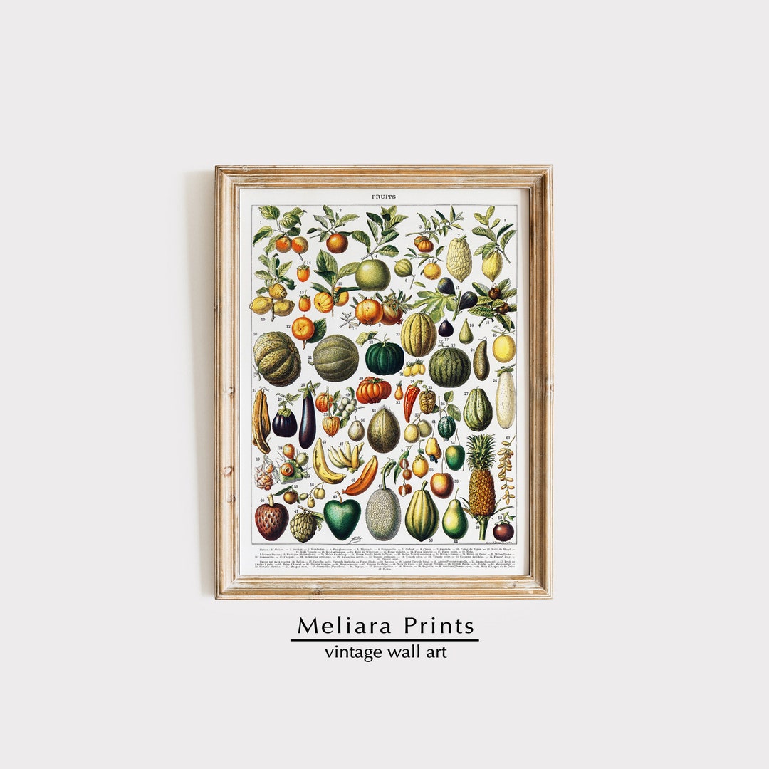 Vintage Variety Fruits and Vegetables Print I Homestead, Farmhouse ...