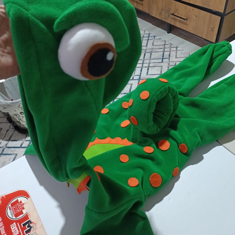 Pascal Costume Kid - Etsy