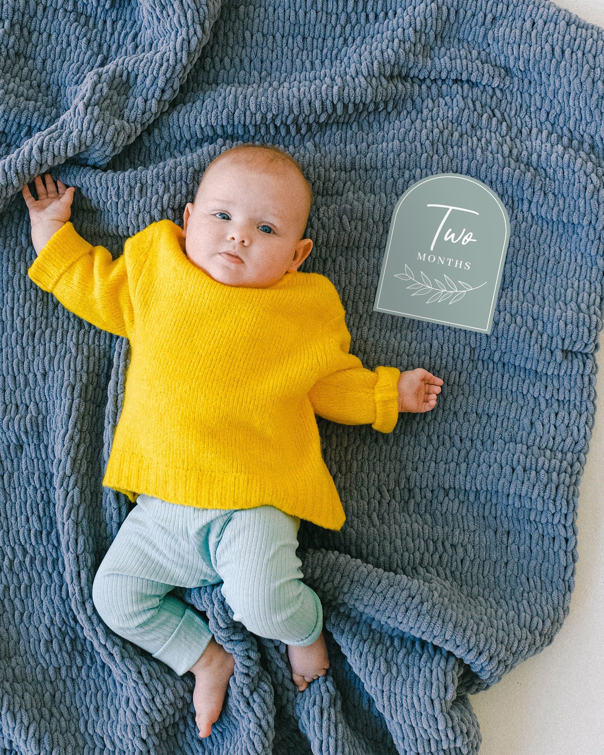 Printable Monthly Milestone Cards, Months 1-12, Baby Monthly Photos, 4 ...