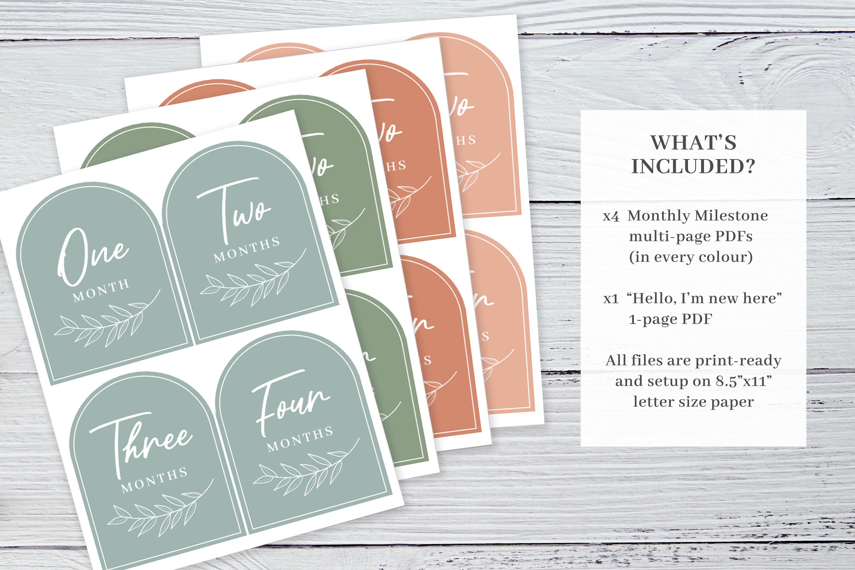 Printable Monthly Milestone Cards, Months 1-12, Baby Monthly Photos, 4 ...