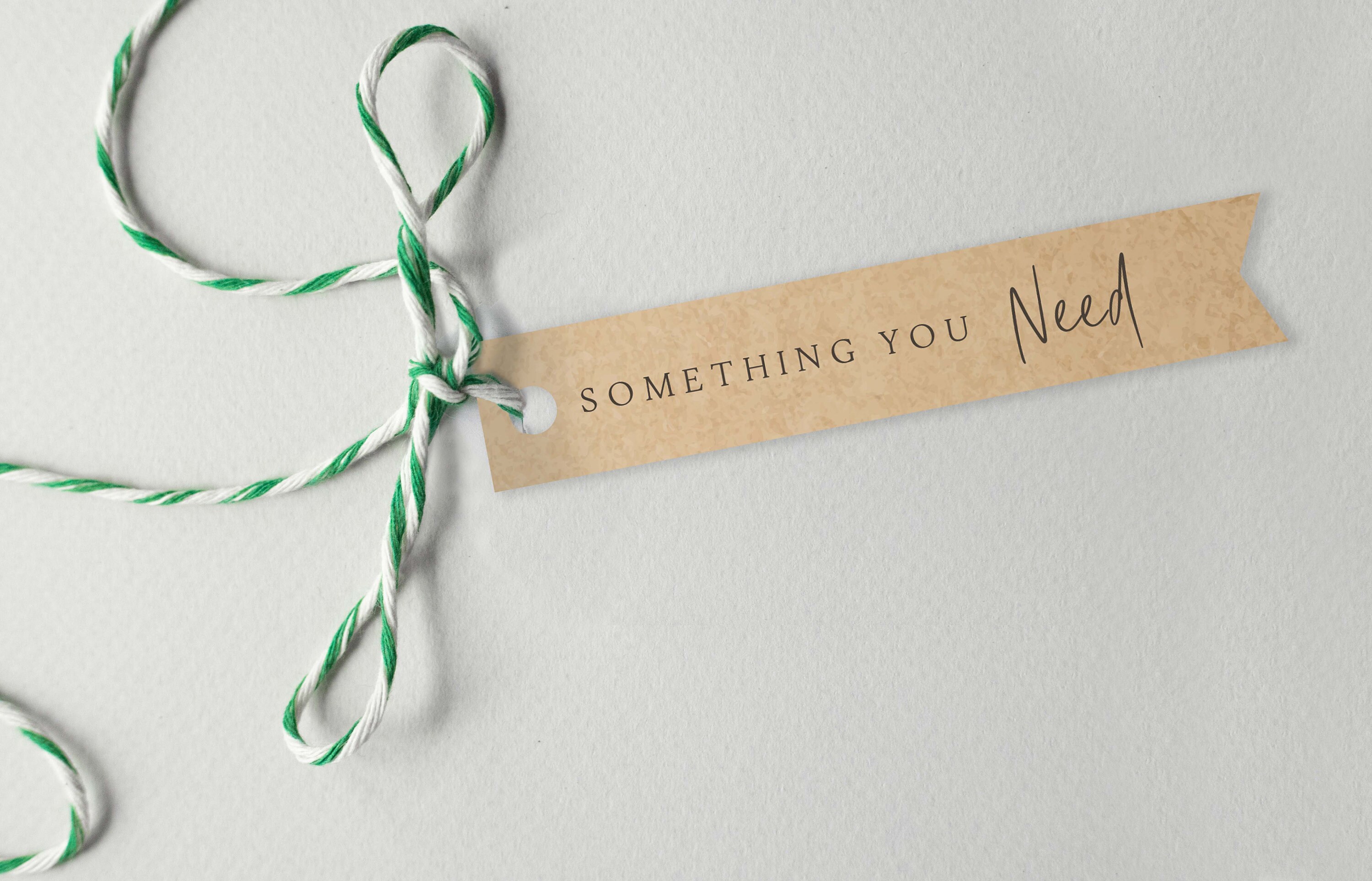 Printable Christmas Gift Tag, Something You Need Gift Tag, Want Need ...