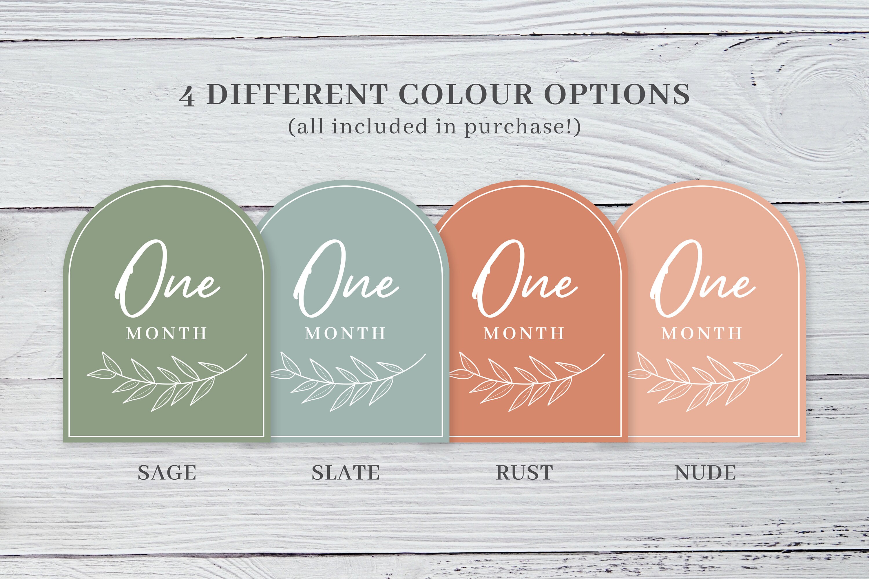 Printable Monthly Milestone Cards, Months 1-12, Baby Monthly Photos, 4 ...