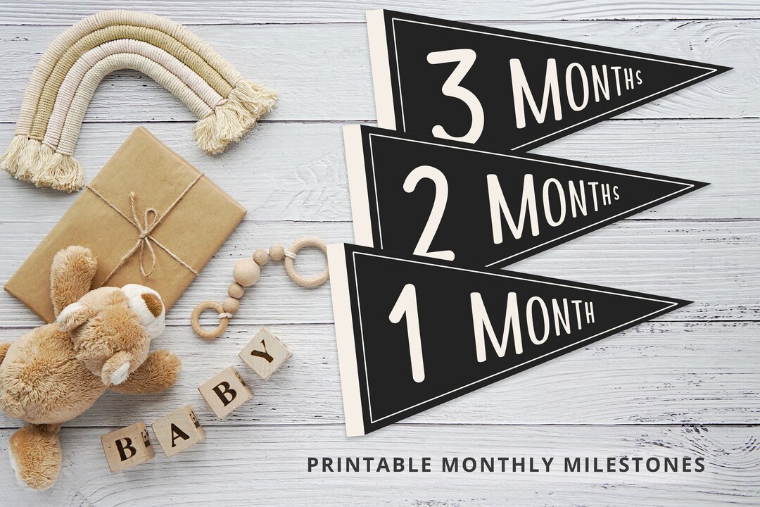 Pennant Monthly Milestone Printable Cards, Months 1-12, Baby Monthly ...