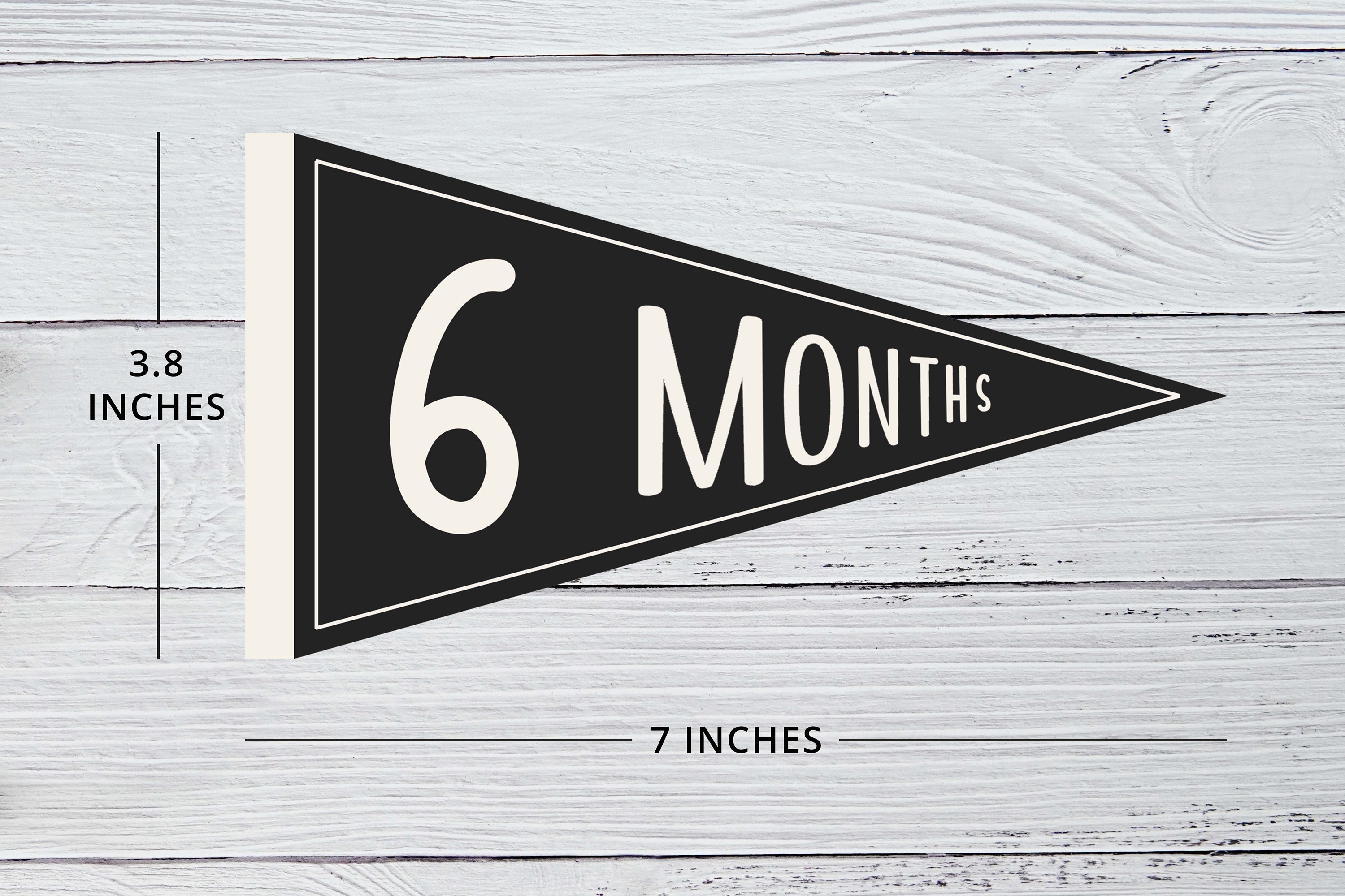 Pennant Monthly Milestone Printable Cards, Months 1-12, Baby Monthly ...