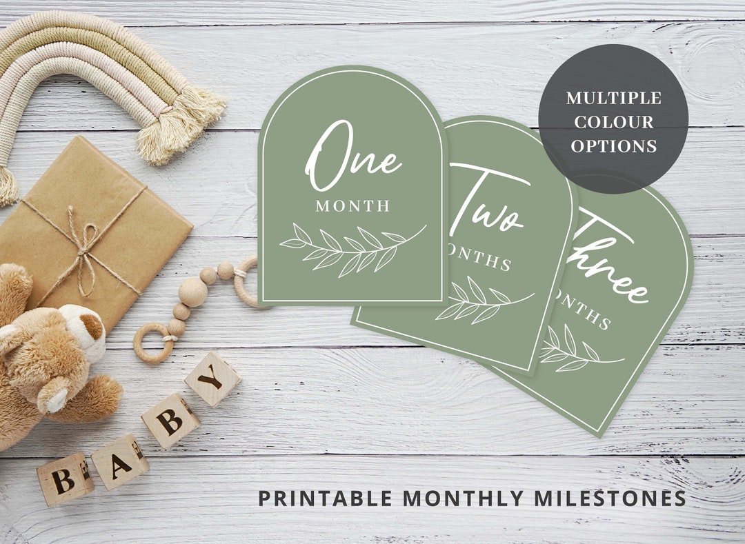 Printable Monthly Milestone Cards, Months 1-12, Baby Monthly Photos, 4 ...