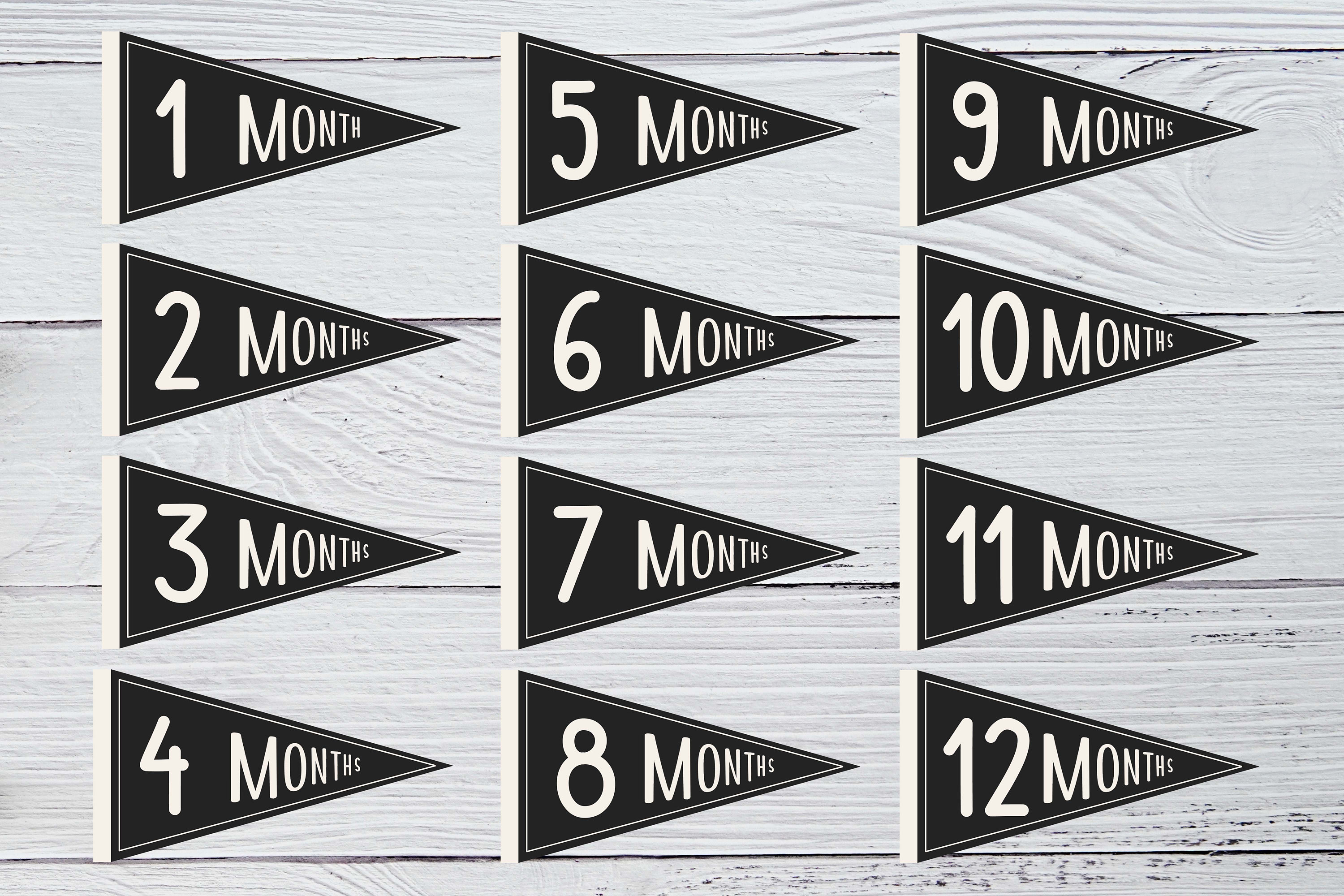 Pennant Monthly Milestone Printable Cards, Months 1-12, Baby Monthly ...