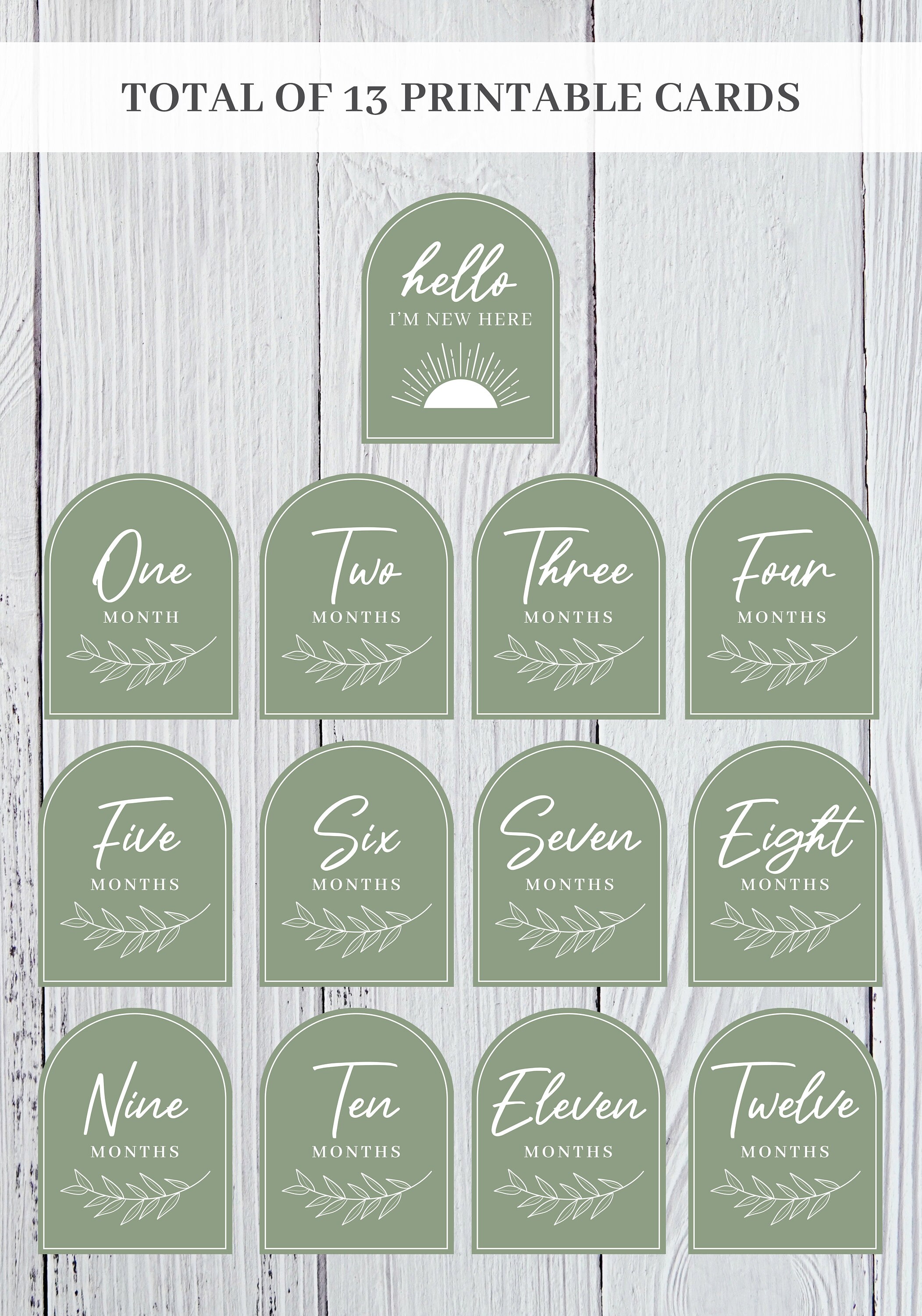 Printable Monthly Milestone Cards, Months 1-12, Baby Monthly Photos, 4 ...