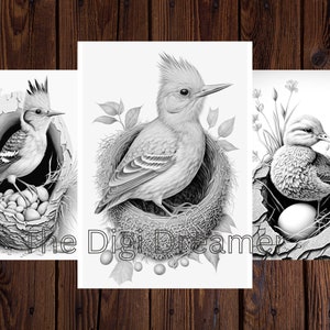 30 Birds Grayscale Coloring Pages: Feathered Friends (PDF Download) - Etsy
