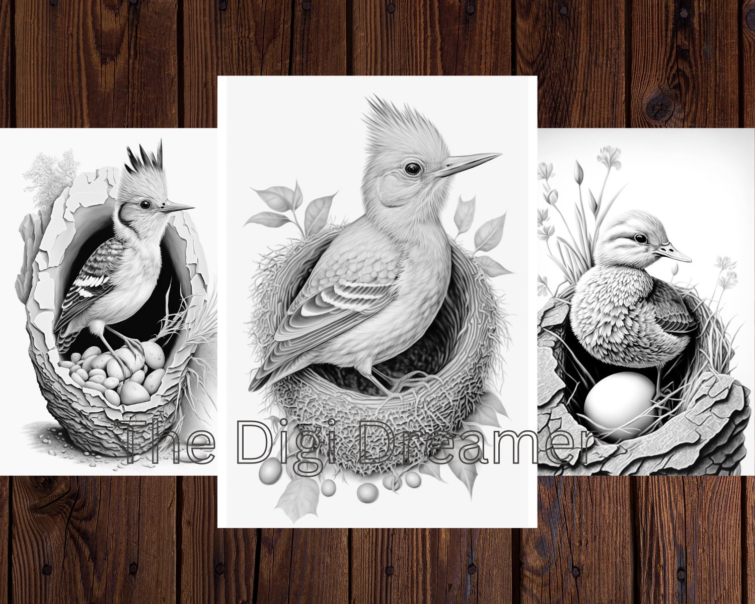 30 Printable Birds Grayscale Coloring Pages for Adults & Kids - Etsy