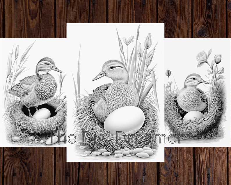 30 Printable Birds Grayscale Coloring Pages for Adults & Kids - Etsy