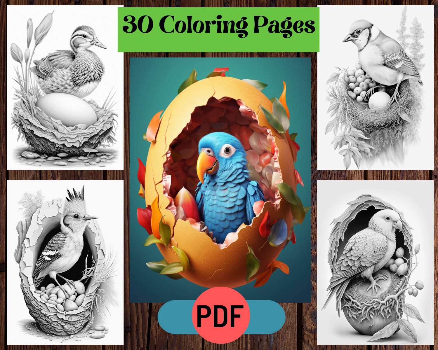 30 Printable Birds Grayscale Coloring Pages for Adults & Kids - Etsy