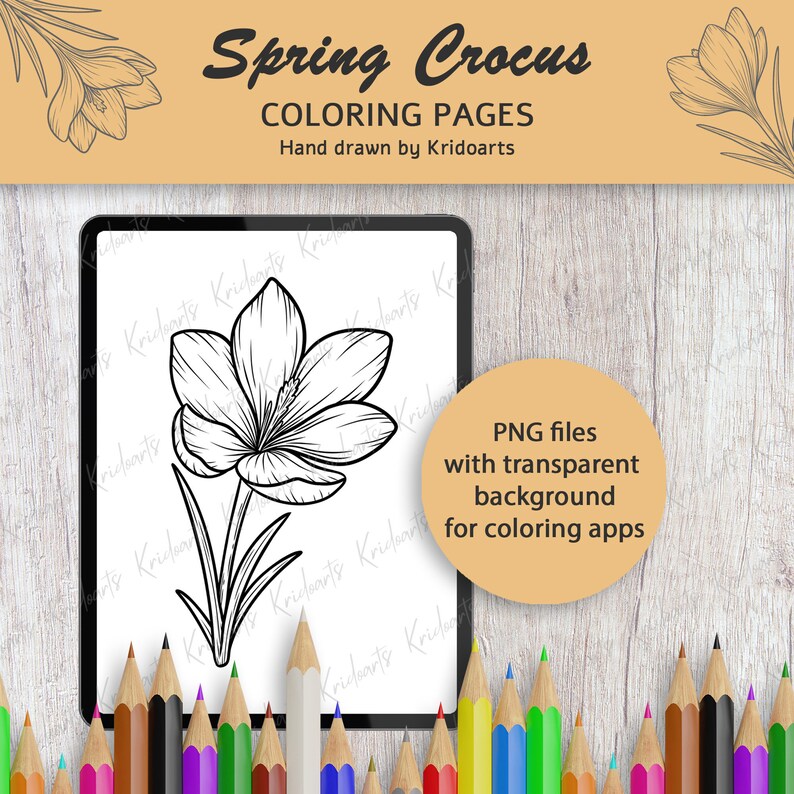 Printable Coloring Pages Floral Digital Sketches Procreate Botanical ...