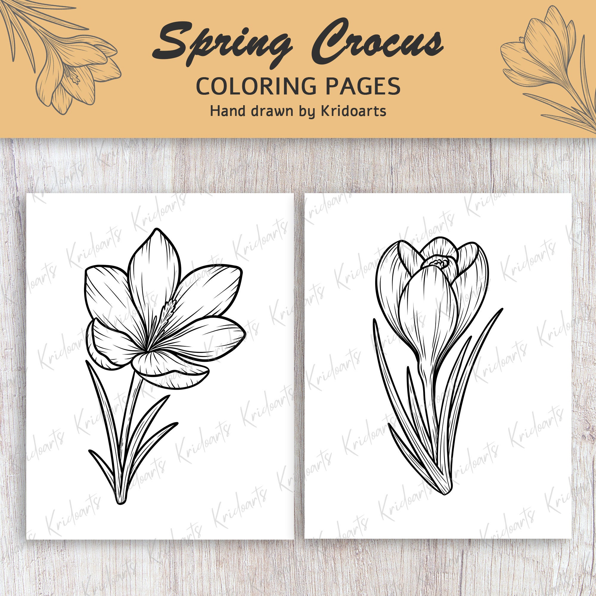 Printable Coloring Pages Floral Digital Sketches Procreate Botanical ...