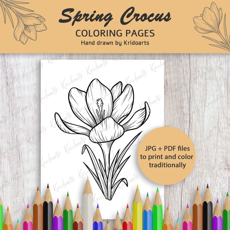 Printable Coloring Pages Floral Digital Sketches Procreate Botanical ...