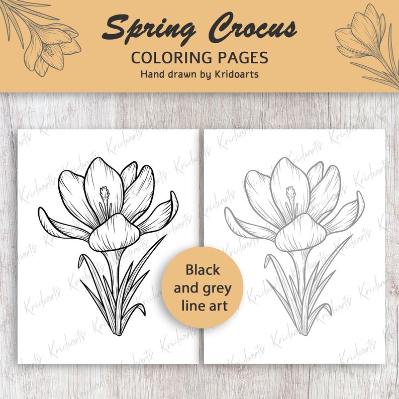 Printable Coloring Pages Floral Digital Sketches Procreate Botanical ...