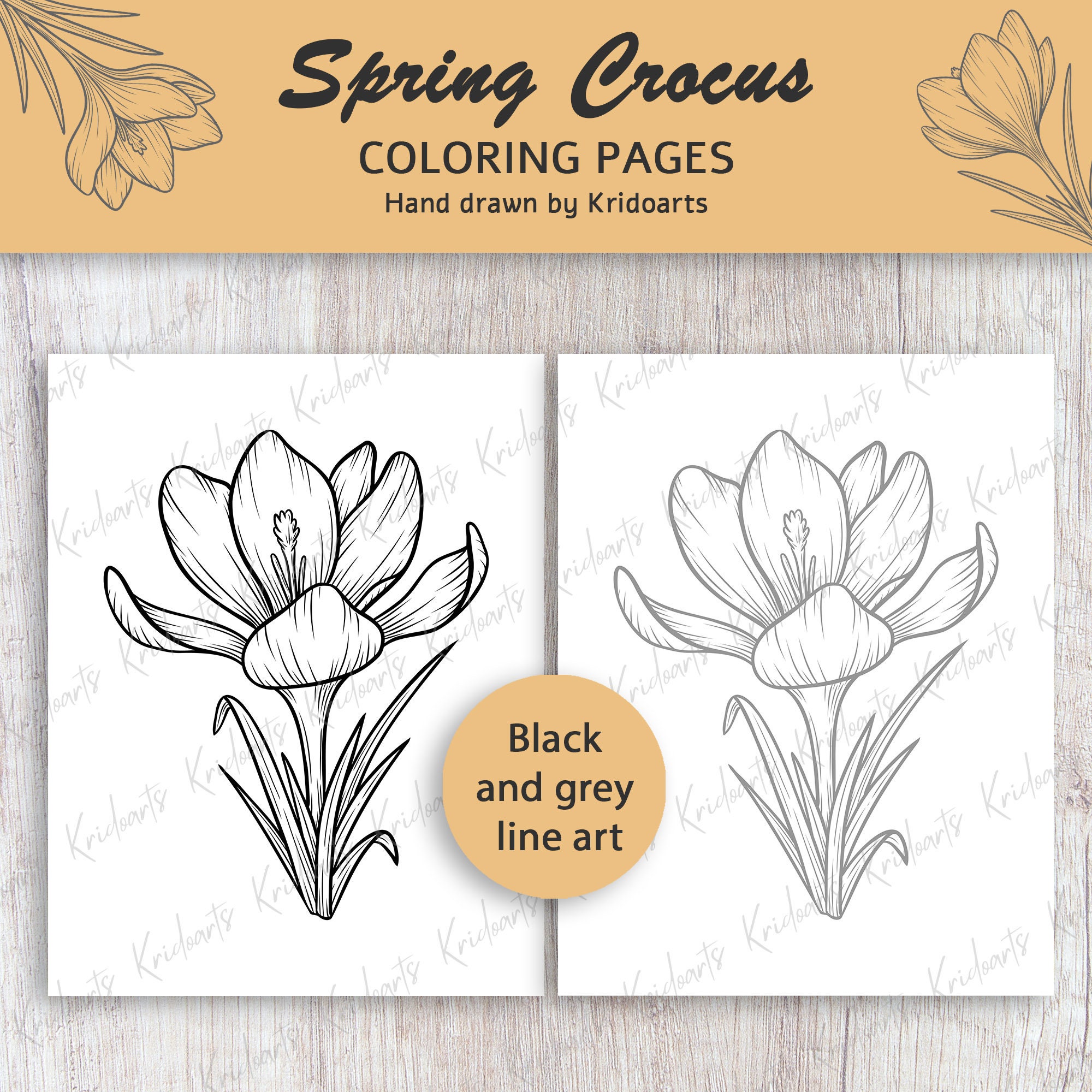 Printable Coloring Pages Floral Digital Sketches Procreate Botanical ...