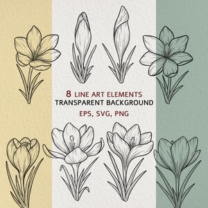 Crocus Flower Svg Clipart: Hand-drawn Floral Line Art Vector - Etsy