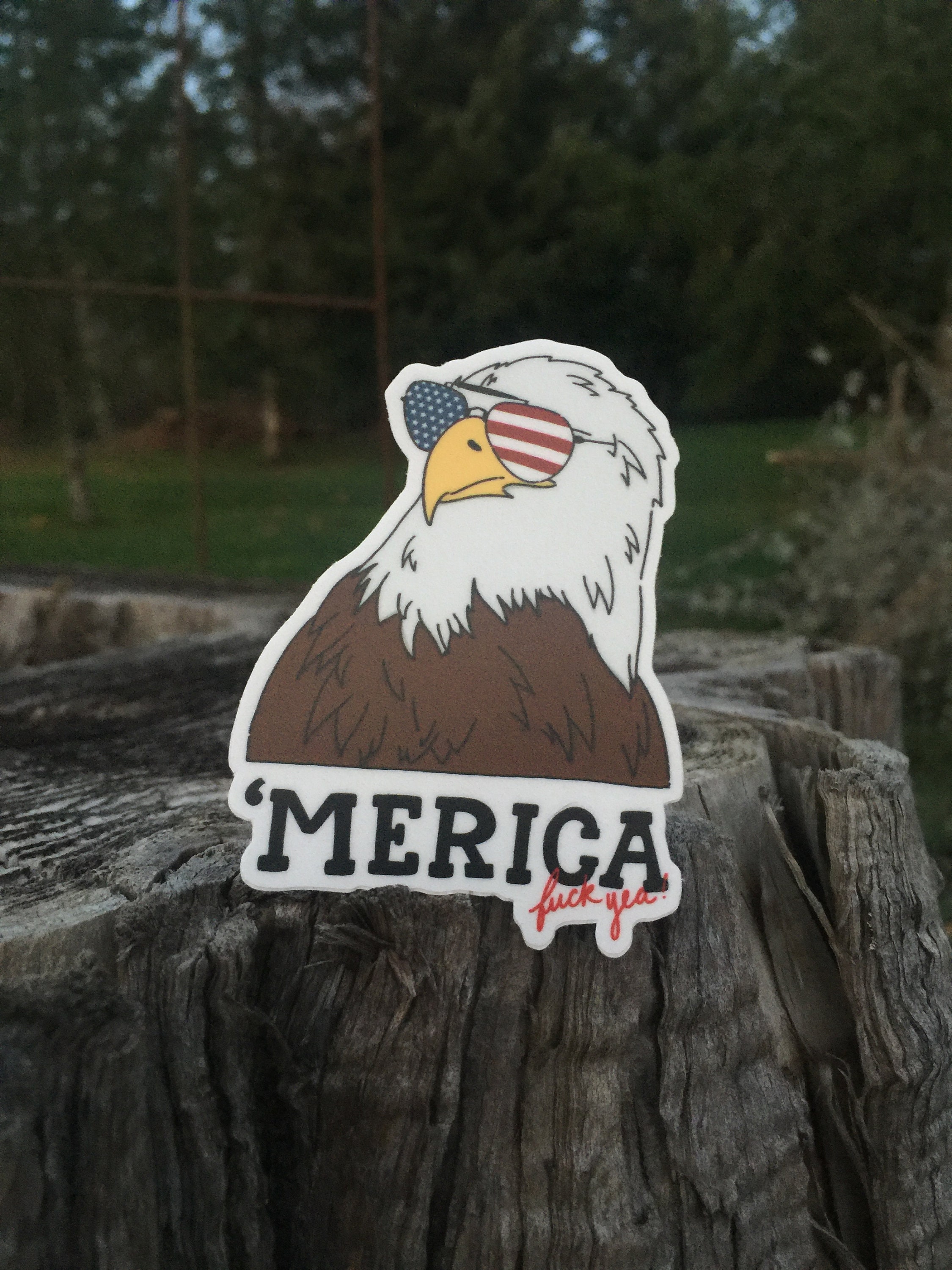 Bald Eagle - Sticker - Etsy