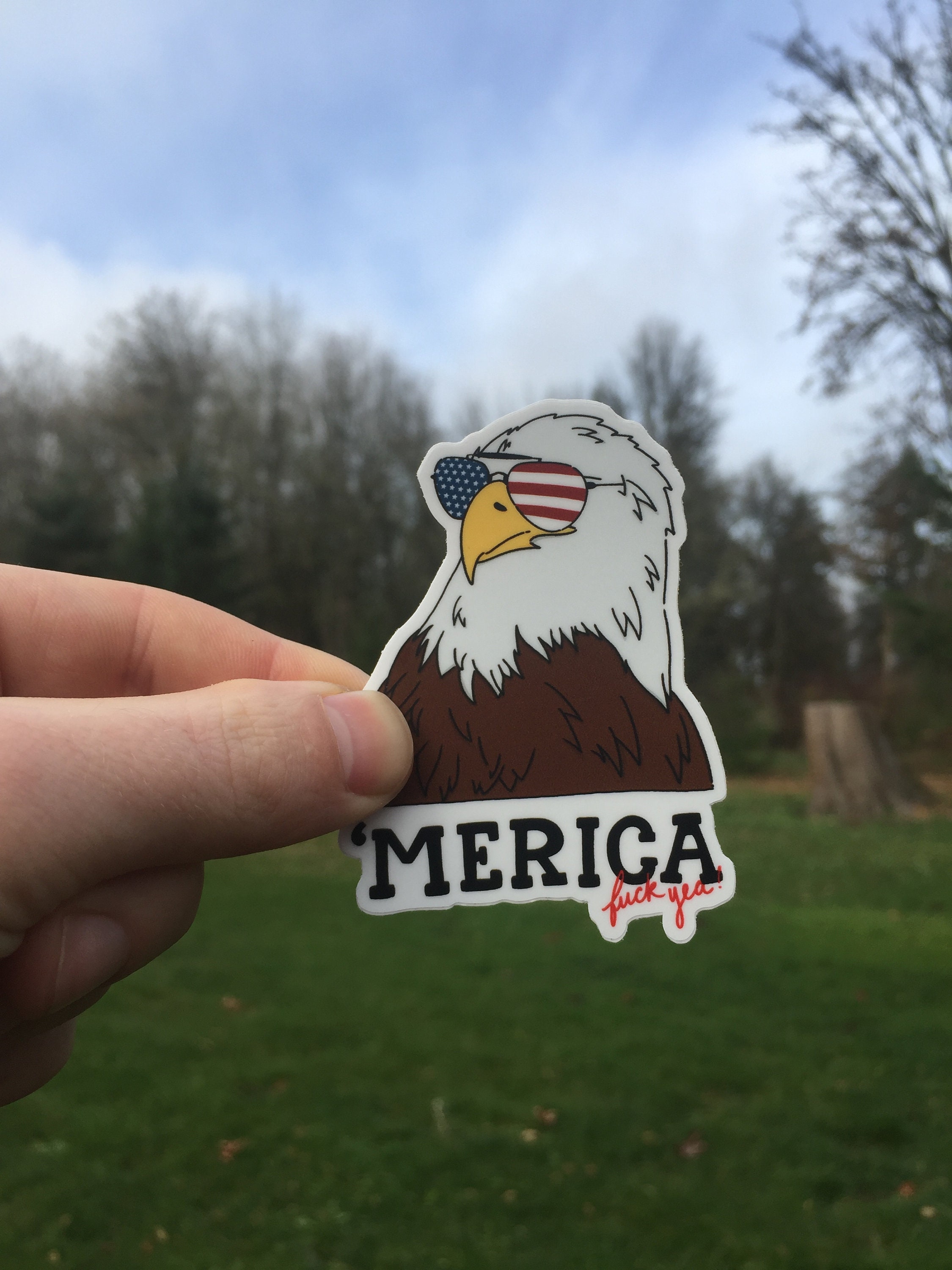 Bald Eagle - Sticker - Etsy