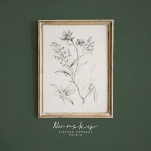 Vintage Neutral Flower Sketch - Botanical Drawing - Minimalist Print ...