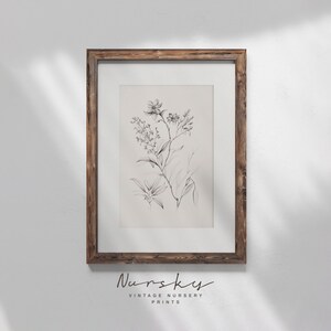 Vintage Neutral Flower Sketch - Botanical Drawing - Minimalist Print ...