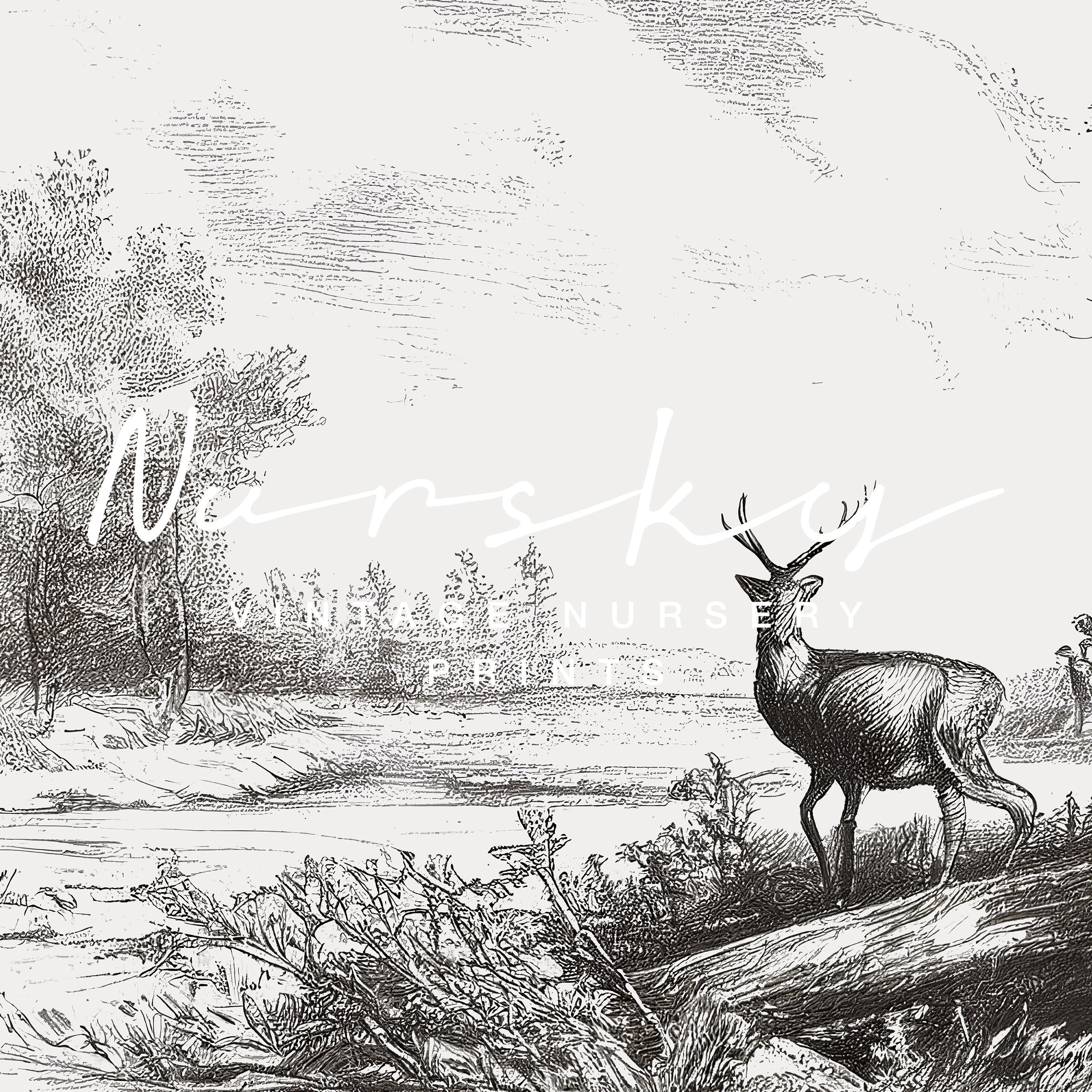 Vintage Deer Sketch - Woodland Landscape Drawing - Rustic Art Print ...