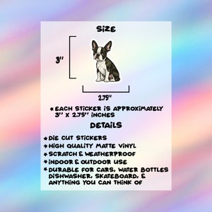 Cute Boston Terrier Sticker Kawaii Boston Terrier Sticker Vinyl Dog ...