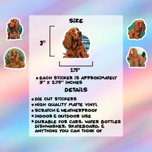 Cute Irish Setter Stickers Pack of 5 Kawaii Irish Setter Sticker Vinyl ...