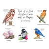 10 Greeting Card Pack of Scripture Birds: 2 Each of the Owl, Doves ...