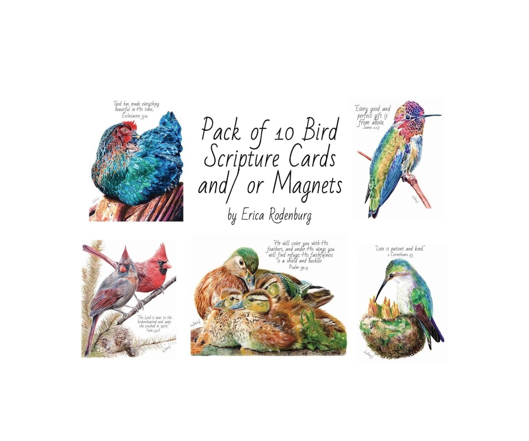 10 Scripture Card Pack of Birds: 2 Each of Wood Ducks, Cardinal Pair ...
