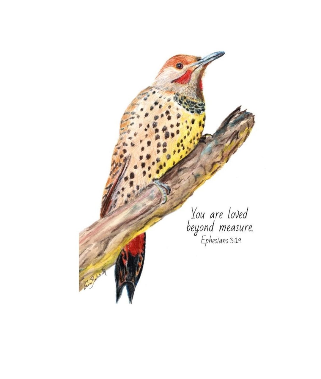 Northern Flicker Yellowhammer Bird Watercolor; Alabama State Bird ...