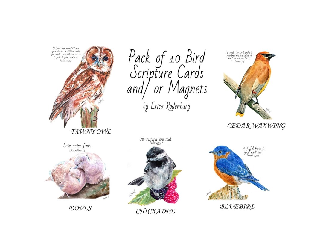 10 Greeting Card Pack of Scripture Birds: 2 Each of the Owl, Doves ...