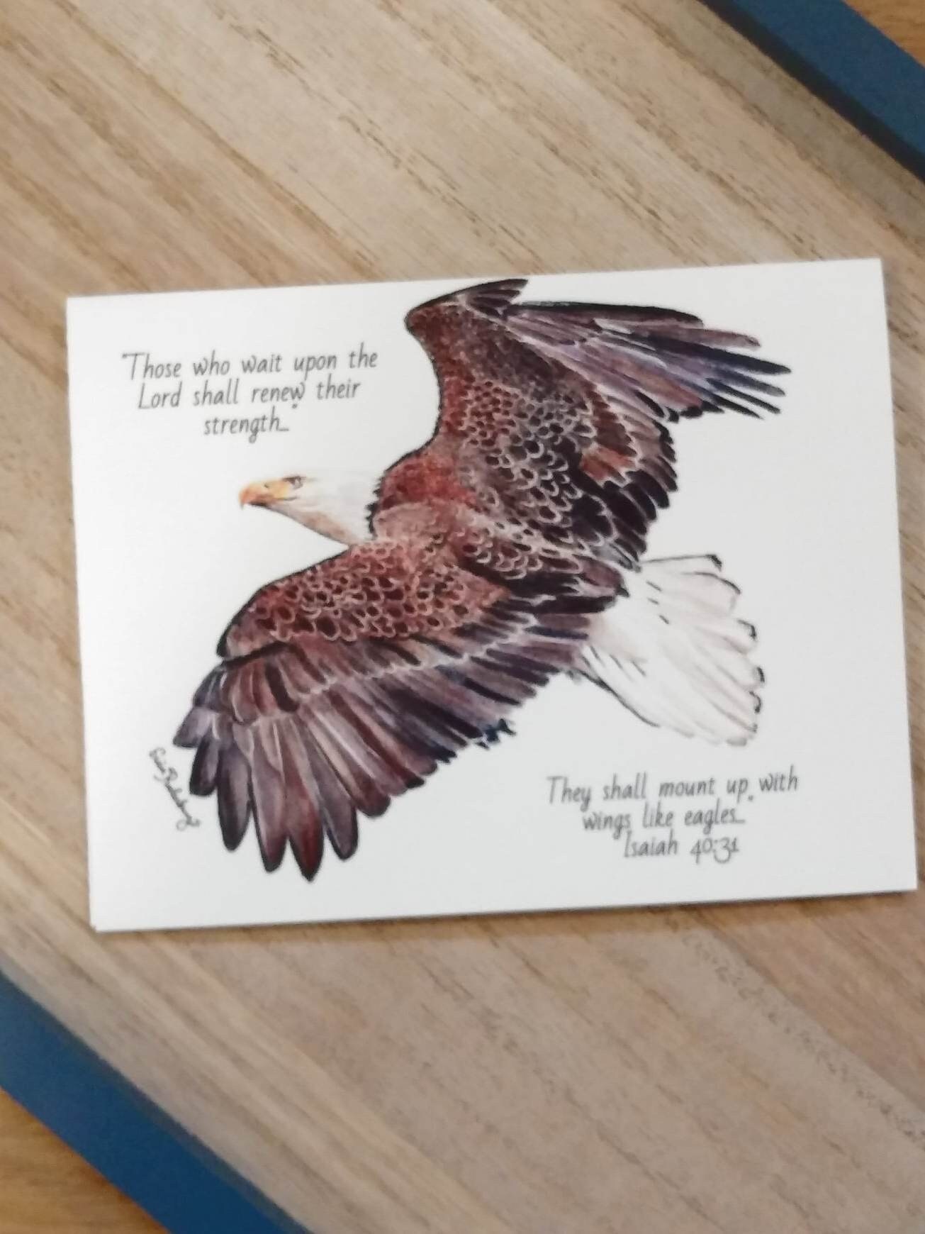 Magnet Pack: 10 Scripture Bird Magnets/ Encouraging Bible Verse Magnets ...