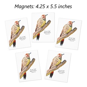 Northern Flicker Yellowhammer Bird Watercolor; Alabama State Bird/ Christian Encouragement Gift ...