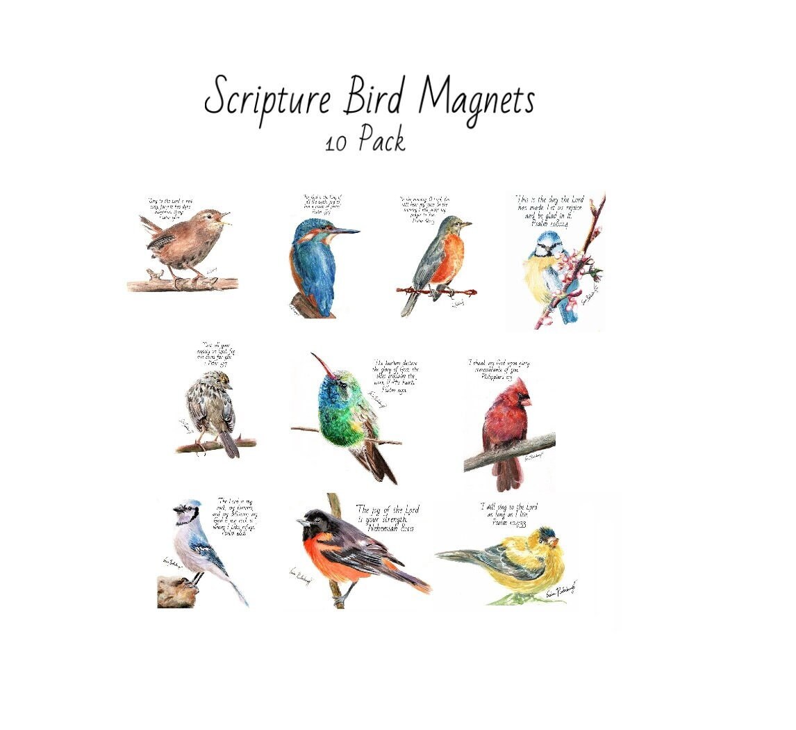 Magnet Pack: 10 Scripture Bird Magnets/ Encouraging Bible Verse Magnets ...