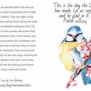 10 Greeting Card Pack of Scripture Birds: 2 Each of the Sparrow ...