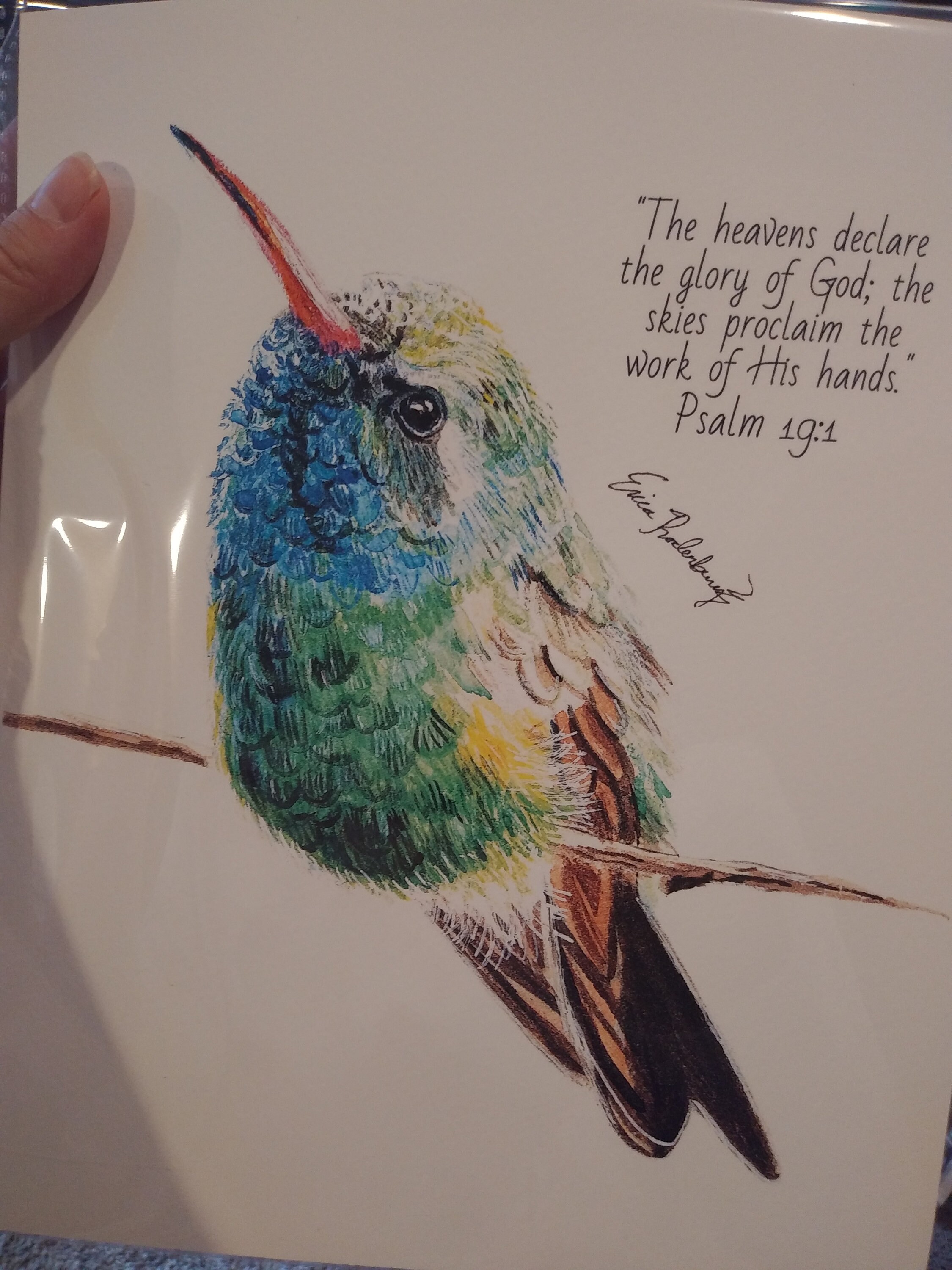 Hummingbird Watercolor Painting Print, Blank Greeting Card, or Magnet ...