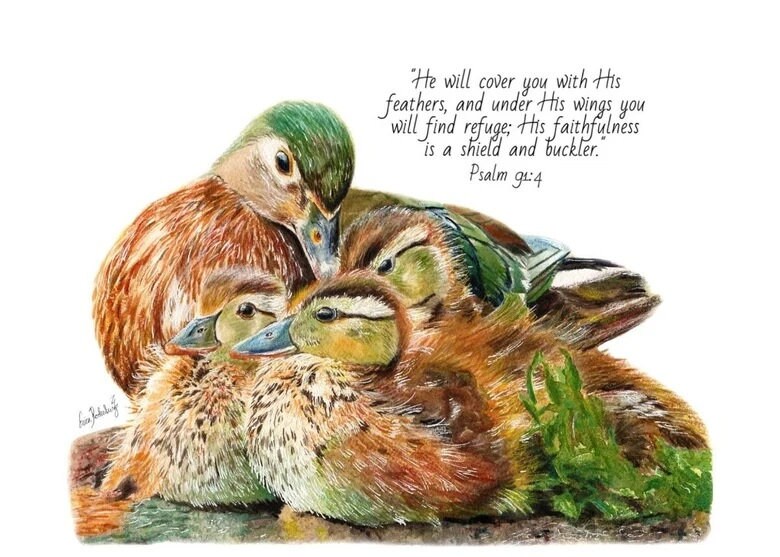 Magnet Pack: 10 Scripture Bird Magnets/ Encouraging Bible Verse Magnets ...