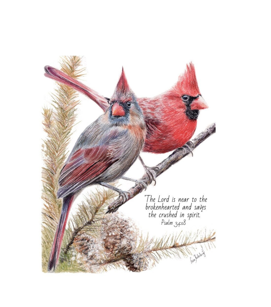 Sympathy Cardinal Pair Watercolor- Psalm 34:18 Scripture Cards, Magnets ...