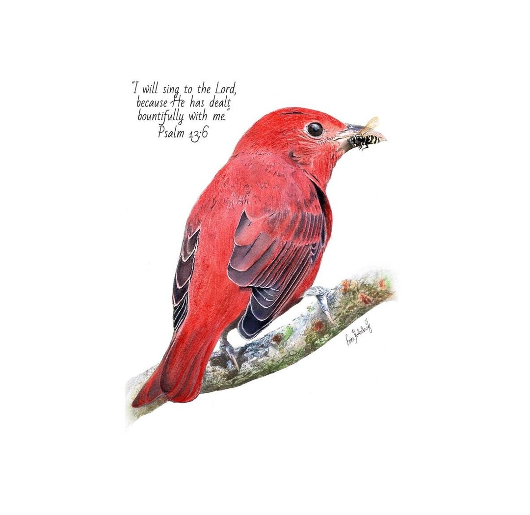 Summer Tanager- Magnets, Cards, or Giclee Prints; Birding Watercolor ...
