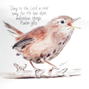 Magnet Pack: 10 Scripture Bird Magnets/ Encouraging Bible Verse Magnets ...