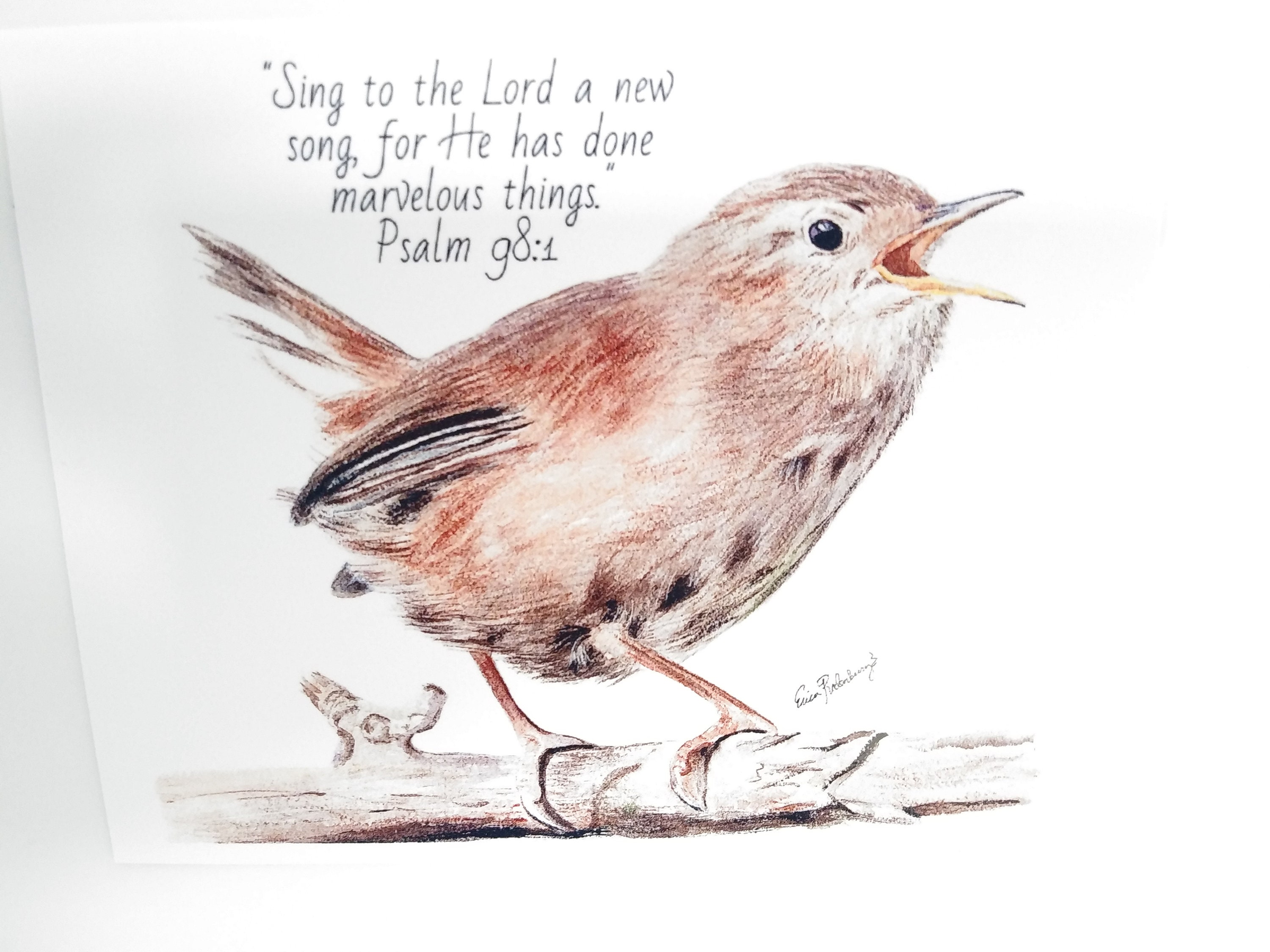 Magnet Pack: 10 Scripture Bird Magnets/ Encouraging Bible Verse Magnets ...