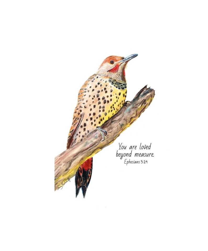 Northern Flicker Yellowhammer Bird Watercolor Alabama State Bird ...