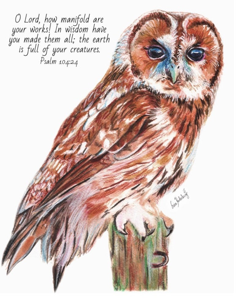 10 Greeting Card Pack of Scripture Birds: 2 Each of the Owl, Doves ...